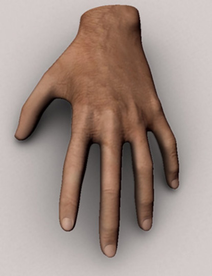 3d male hand model