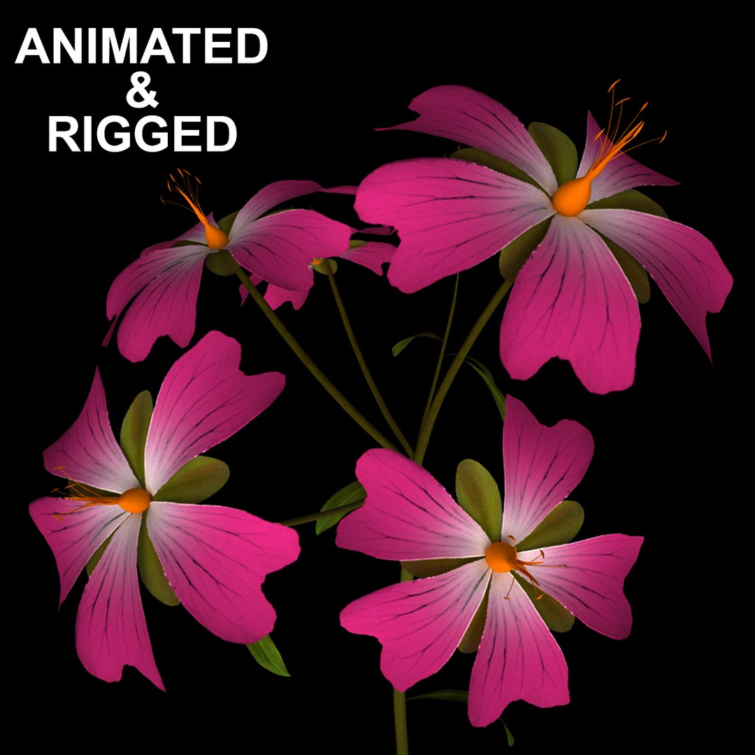 Flowers Open Animation 3D Model - TurboSquid 1589252