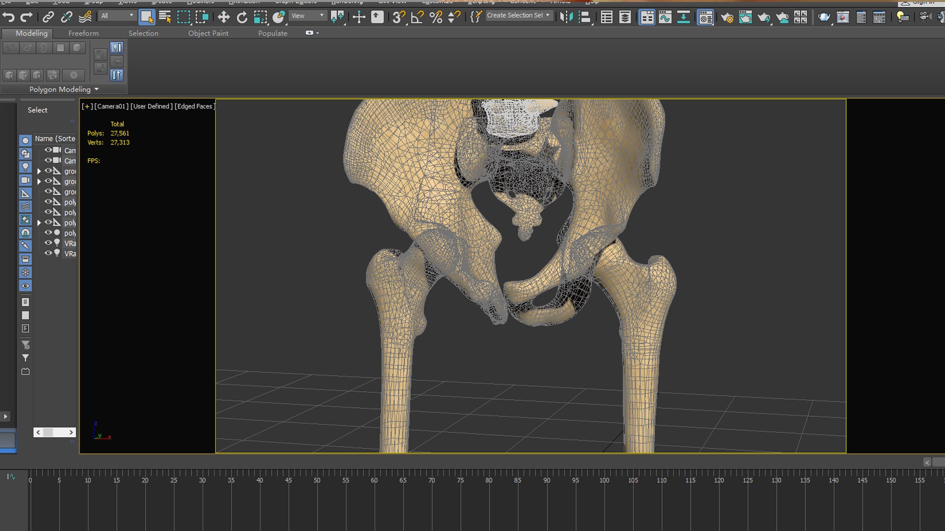 Hip Pelvis femoral head human organs skeleton 3D model - TurboSquid 2008302