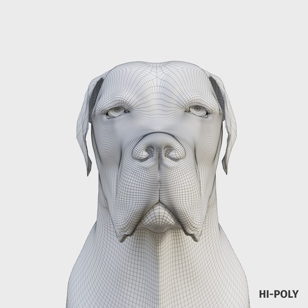 modelo 3d Perro Cane Corso - TurboSquid 1936776