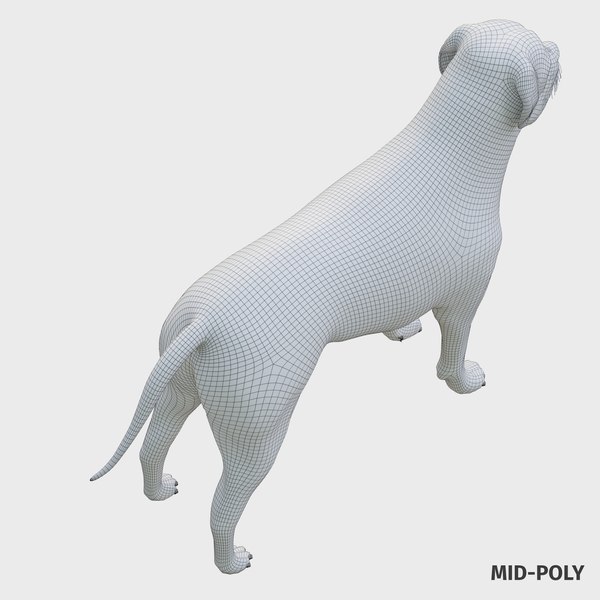 modelo 3d Perro Cane Corso - TurboSquid 1936776