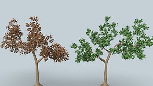 Free Low Poly Tree 3D Models For Download | TurboSquid