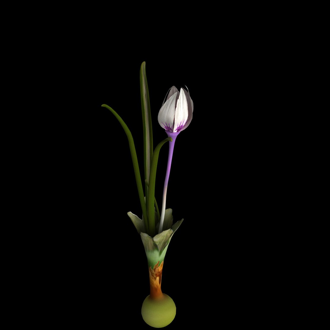 Flowers open animation 3D model - TurboSquid 1588181