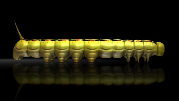 3D white line bat model - TurboSquid 1313597