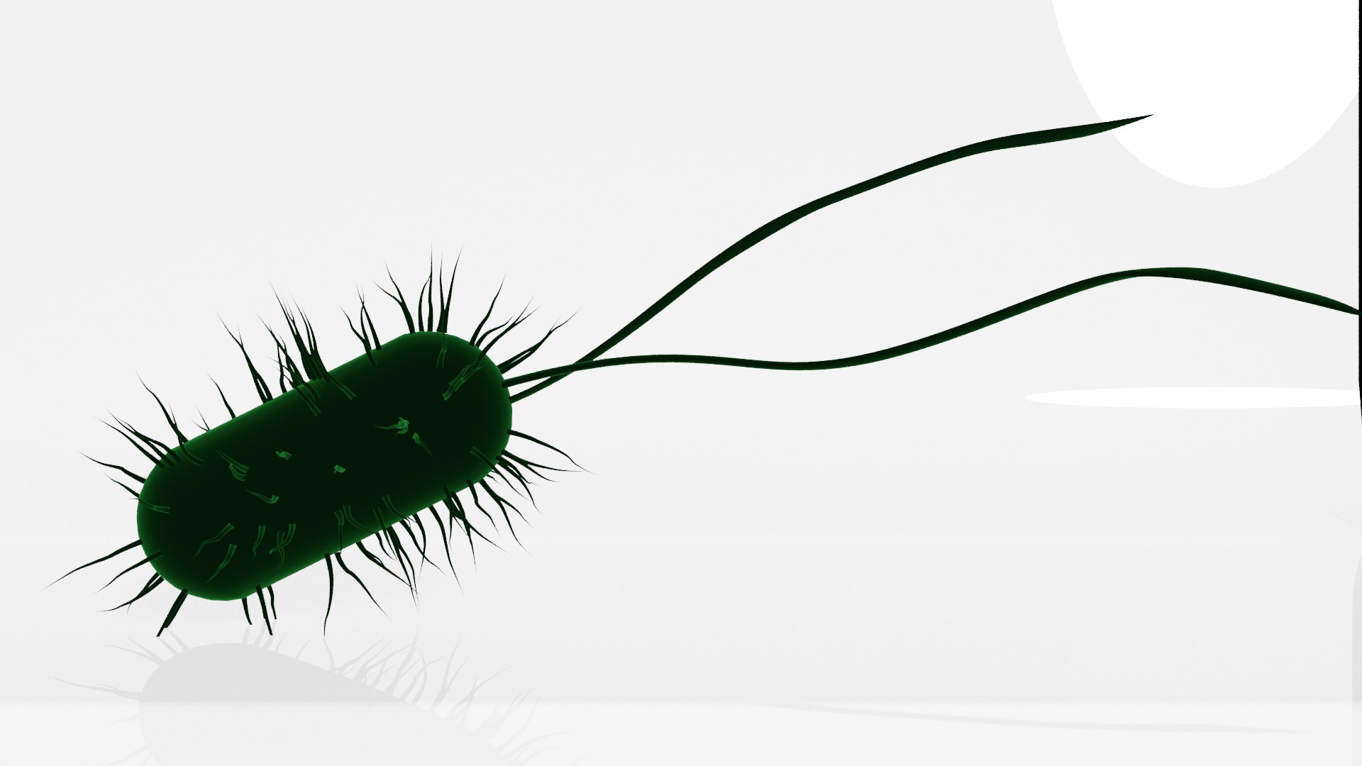 3D Model Bacteria - TurboSquid 1843427