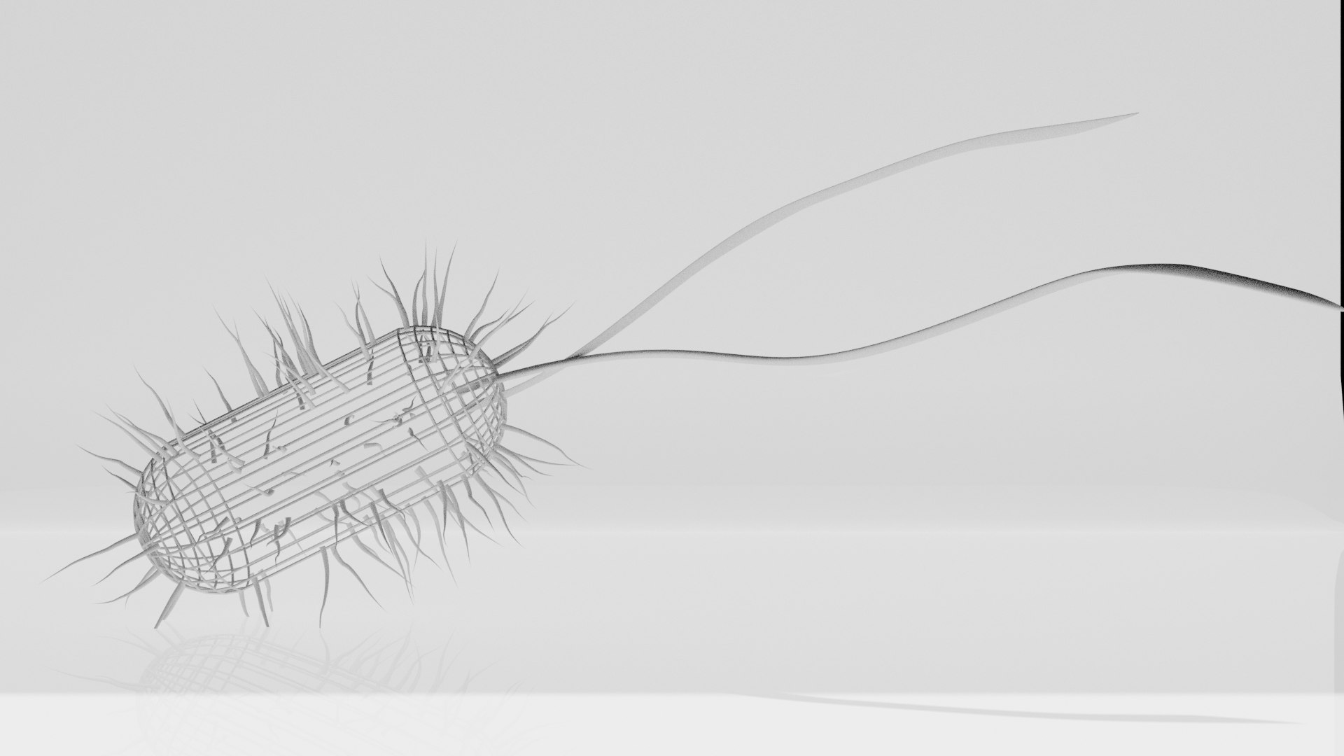 3D Model Bacteria - TurboSquid 1843427