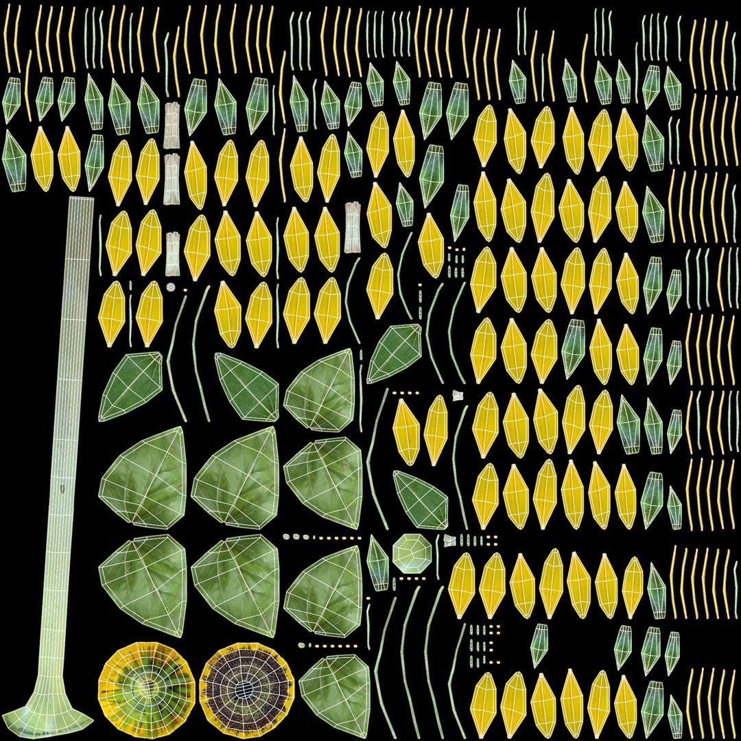 Sunflower Model - TurboSquid 1949604