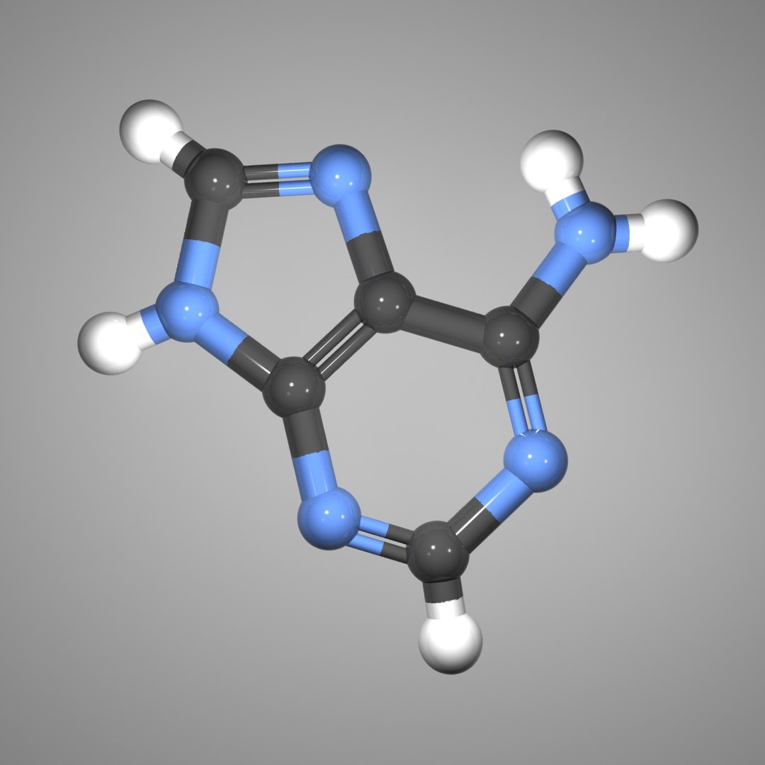 3d Adenine Nucleobase Dna