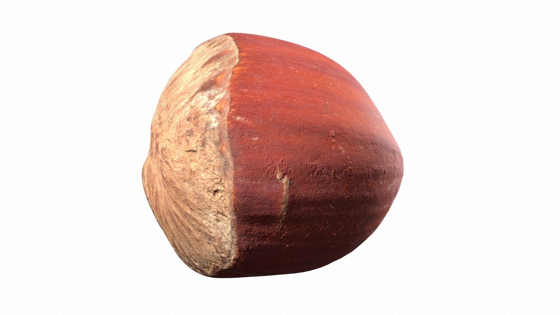 3D Hazelnut Model - TurboSquid 2434269
