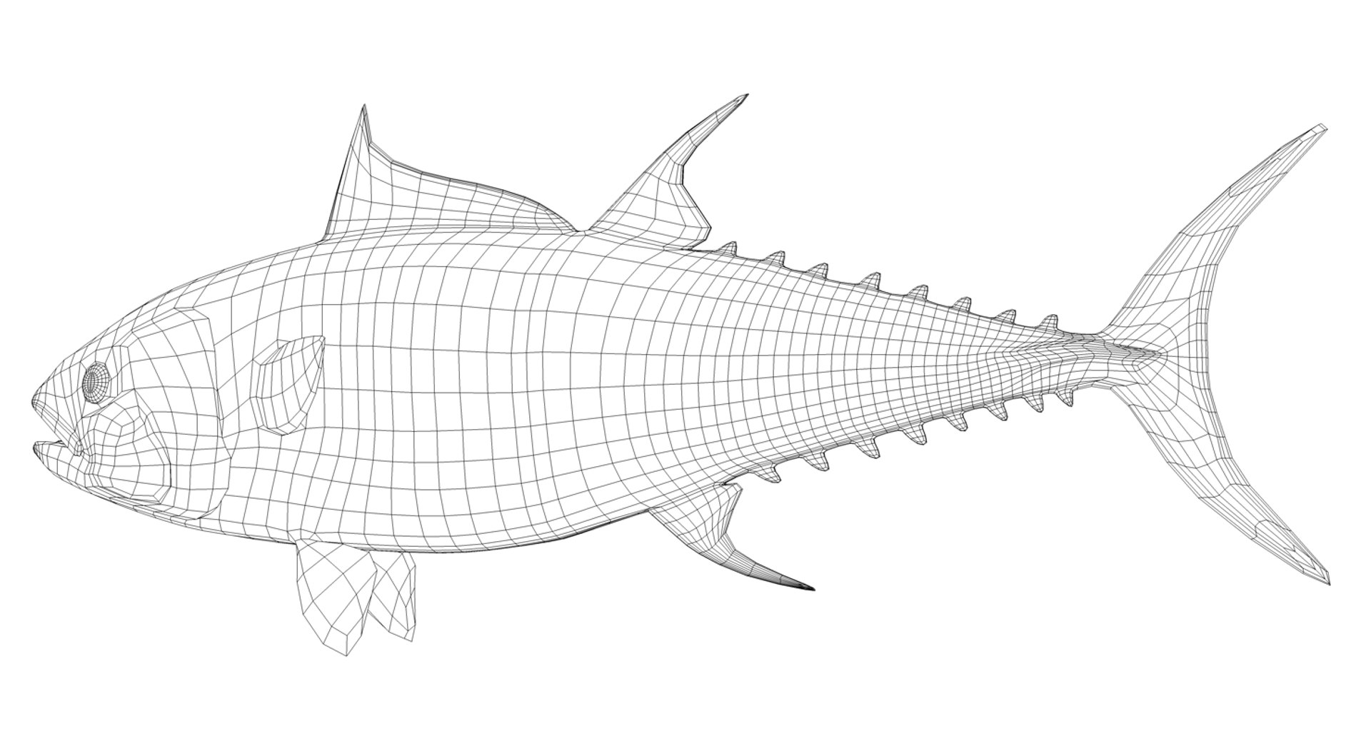 Bluefin Tuna 3D Model - TurboSquid 1230656