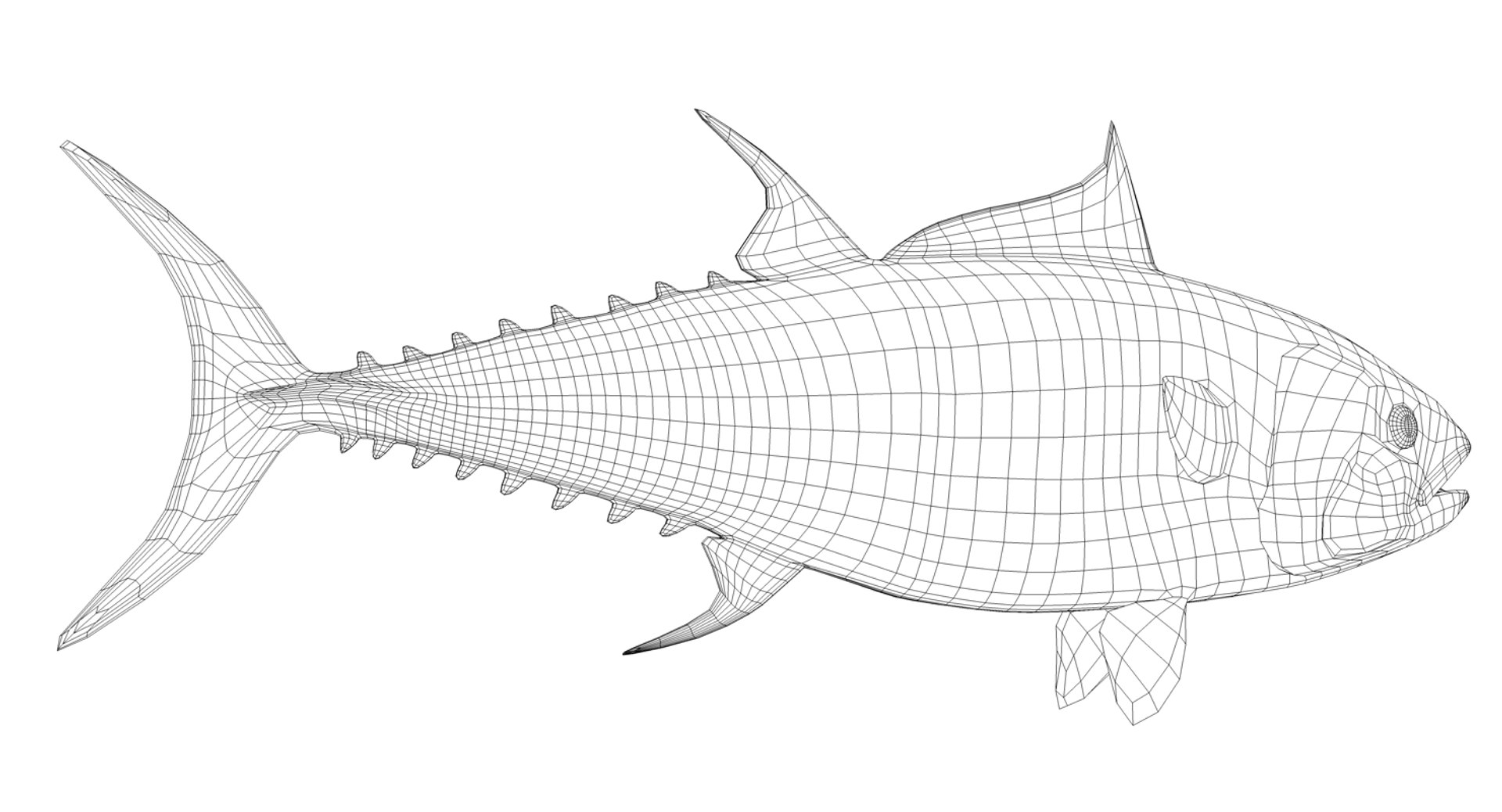 Bluefin Tuna 3D Model - TurboSquid 1230656