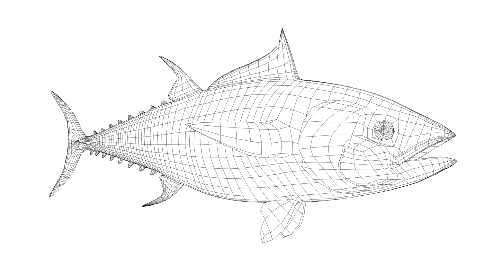 Bluefin Tuna 3D Model - TurboSquid 1230656