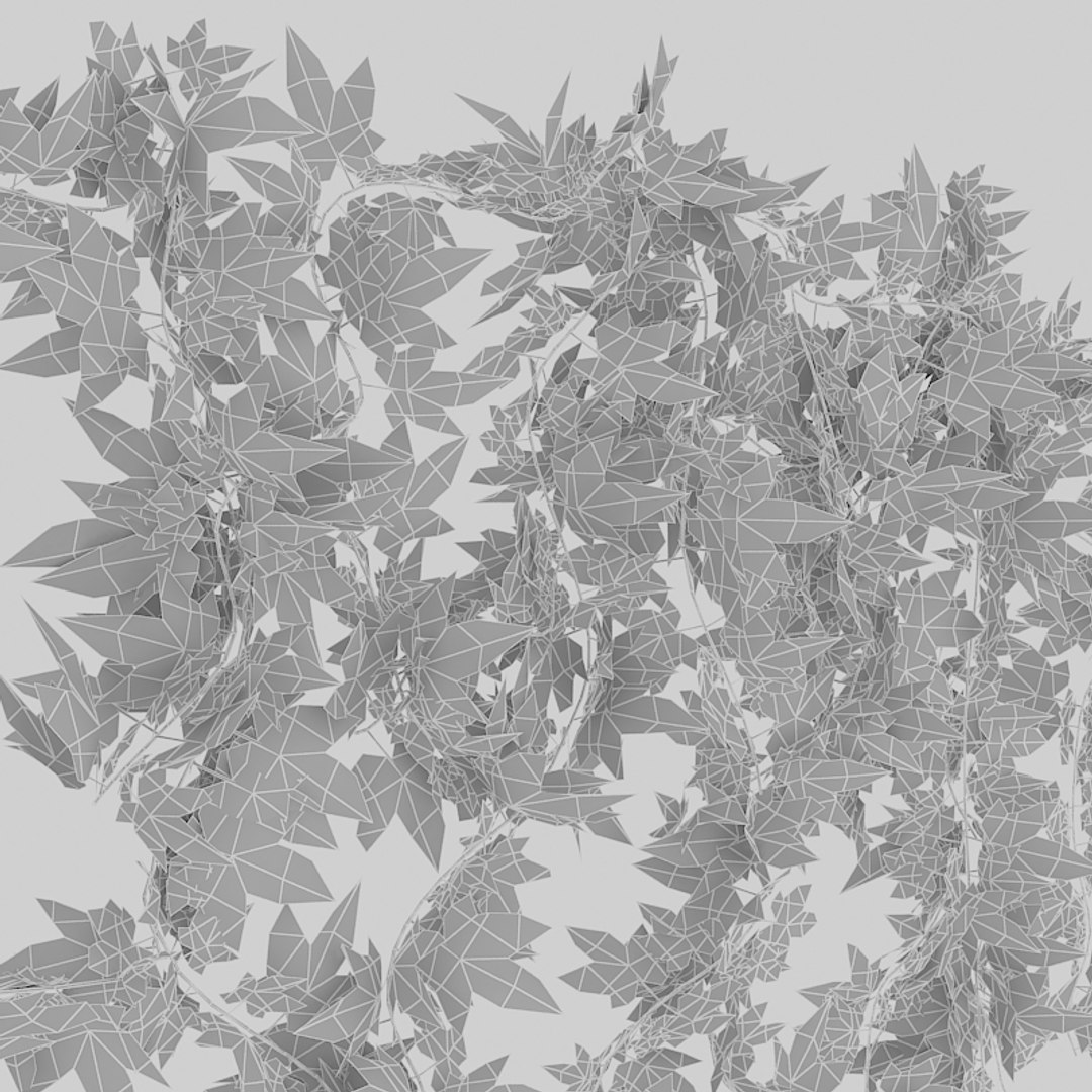 max wall hanging plants