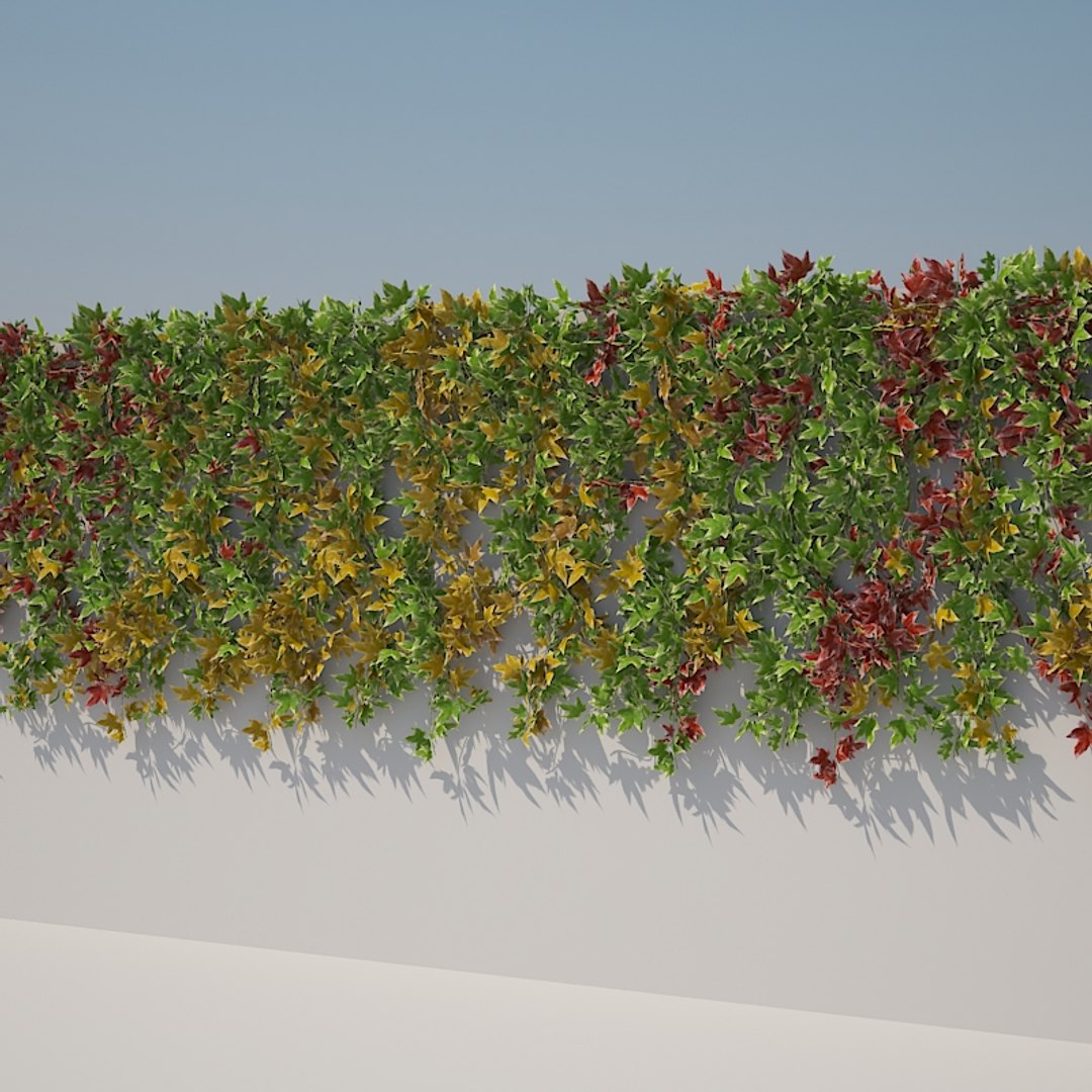 max wall hanging plants