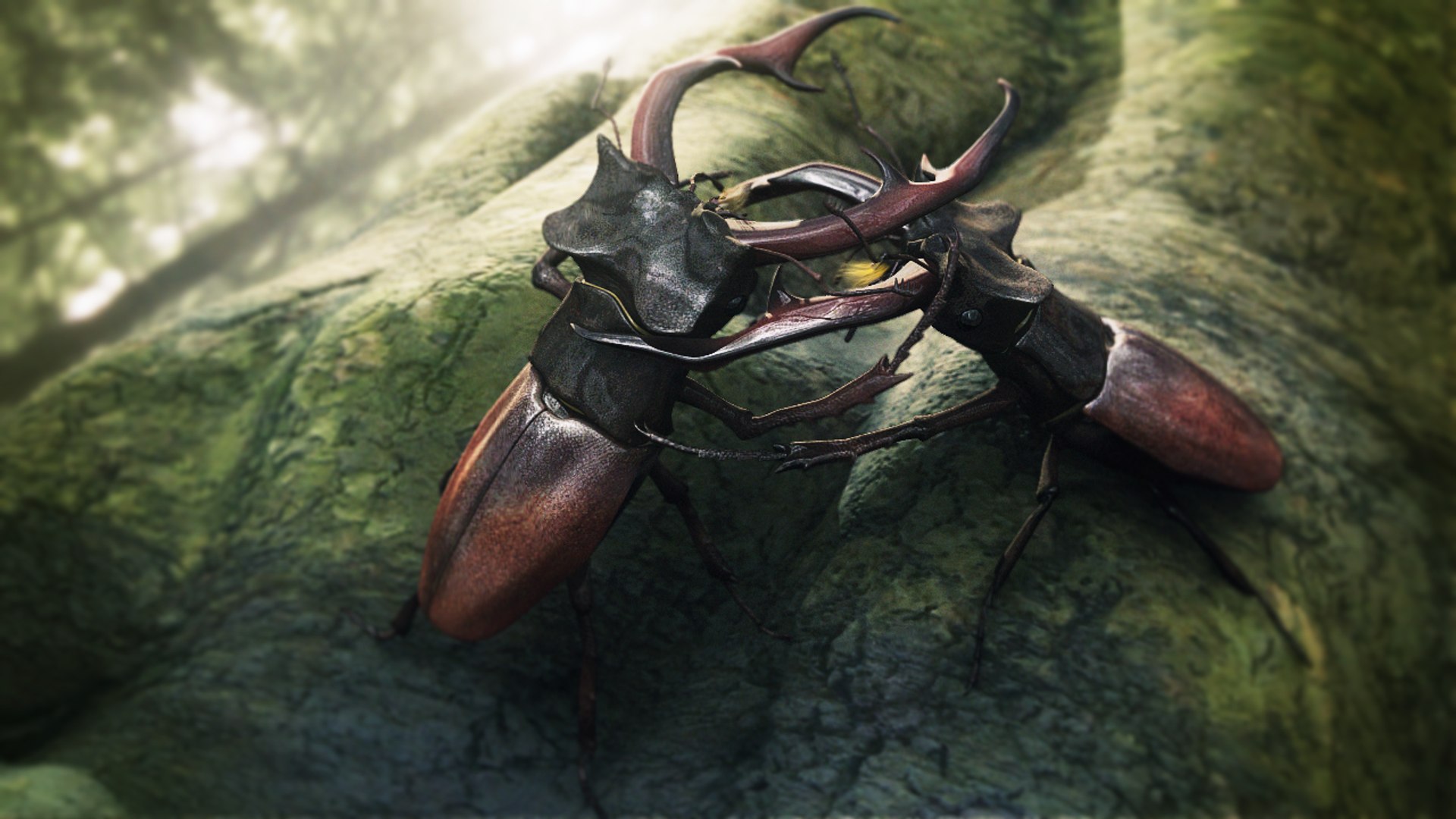 3ds Max Lucanus Insect