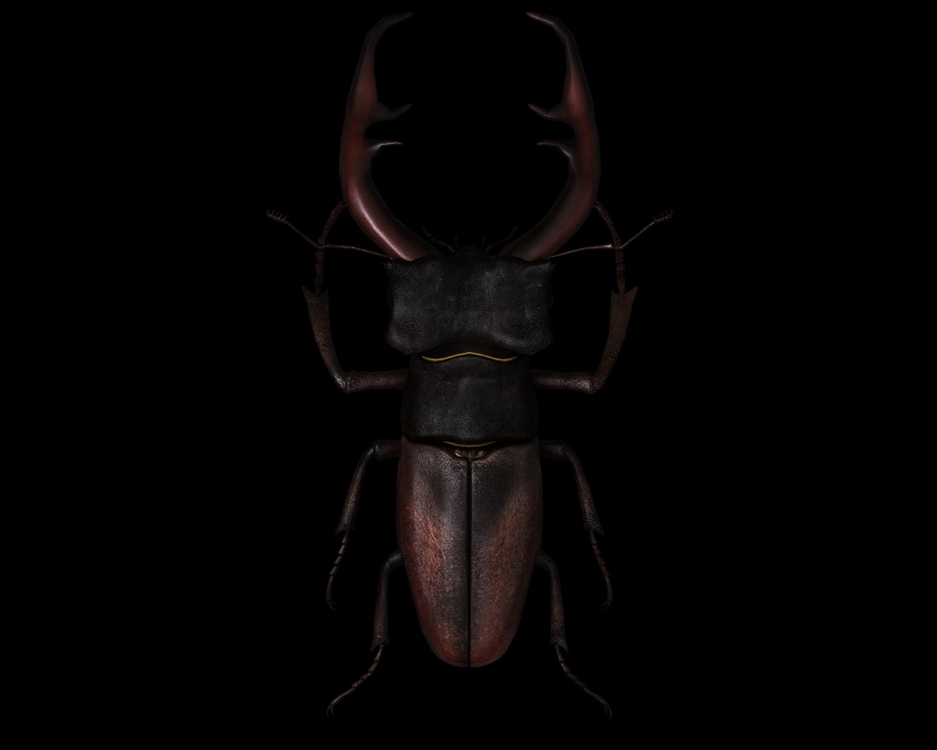3ds Max Lucanus Insect
