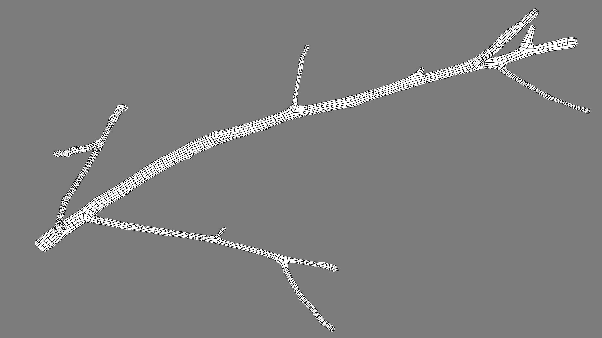 3D Model Twig Scanned 01 - TurboSquid 2088192