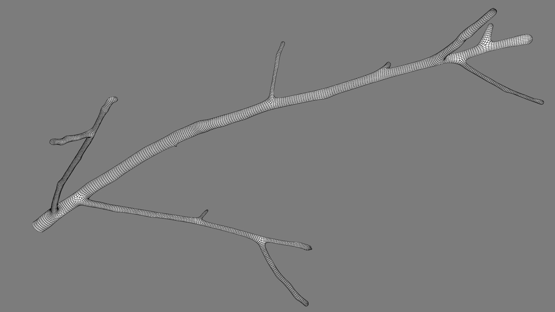 3D Model Twig Scanned 01 - TurboSquid 2088192