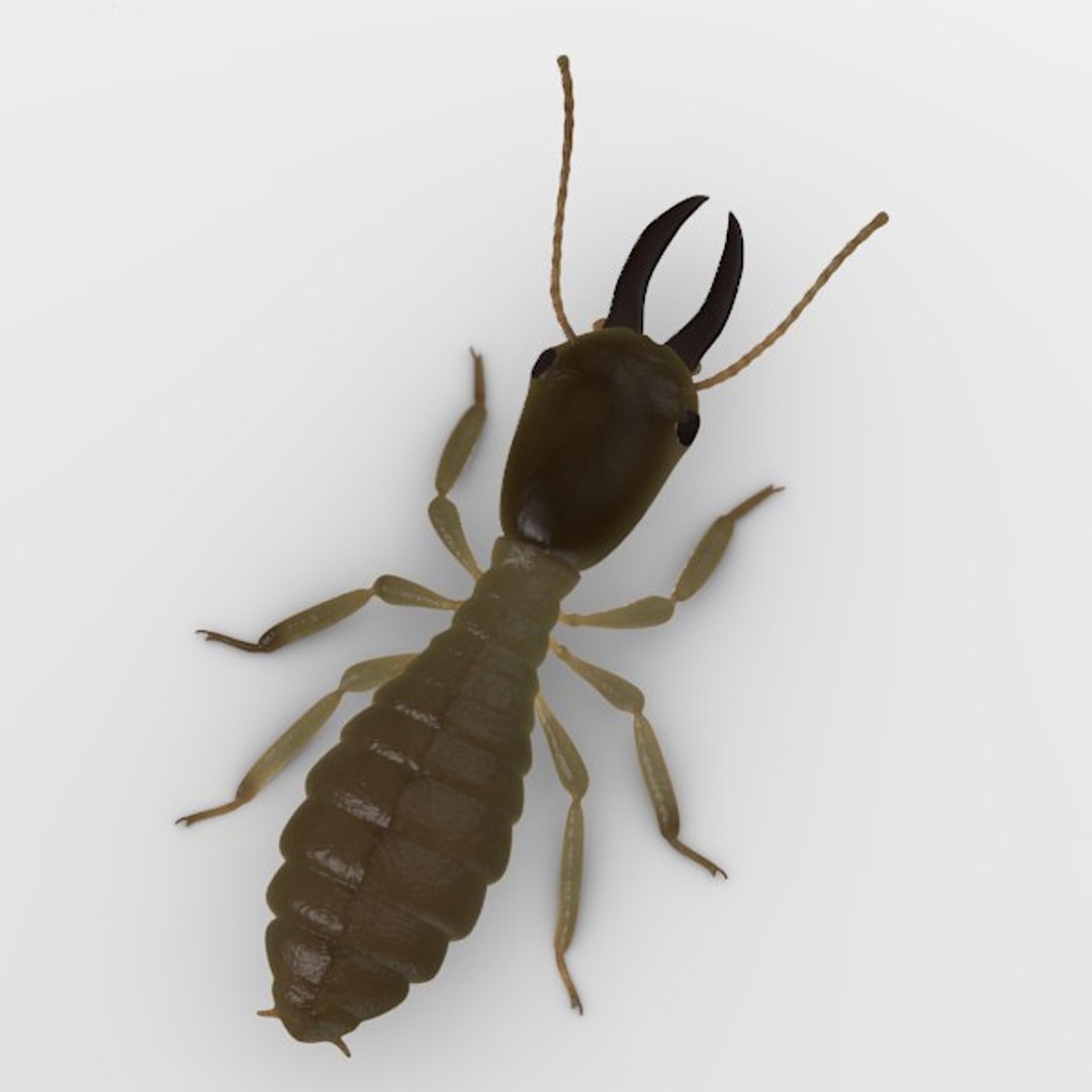 termite life 3d 3ds