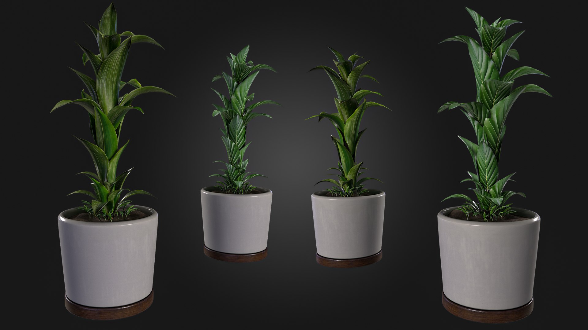 3D Plant model - TurboSquid 2146376