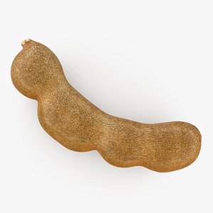 3D Tamarind Models - Browse & Download Formats - TurboSquid