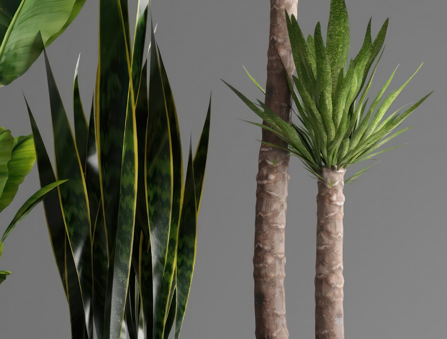 3D Plant Set - TurboSquid 2050098