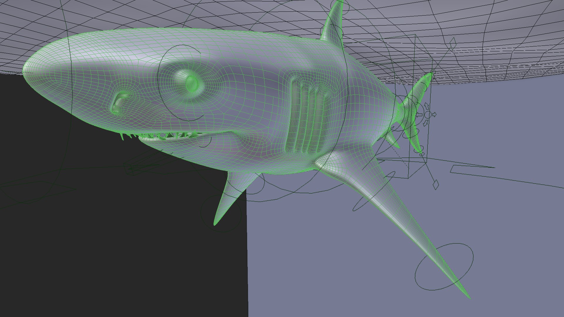 3D Shark Animations - TurboSquid 1422047
