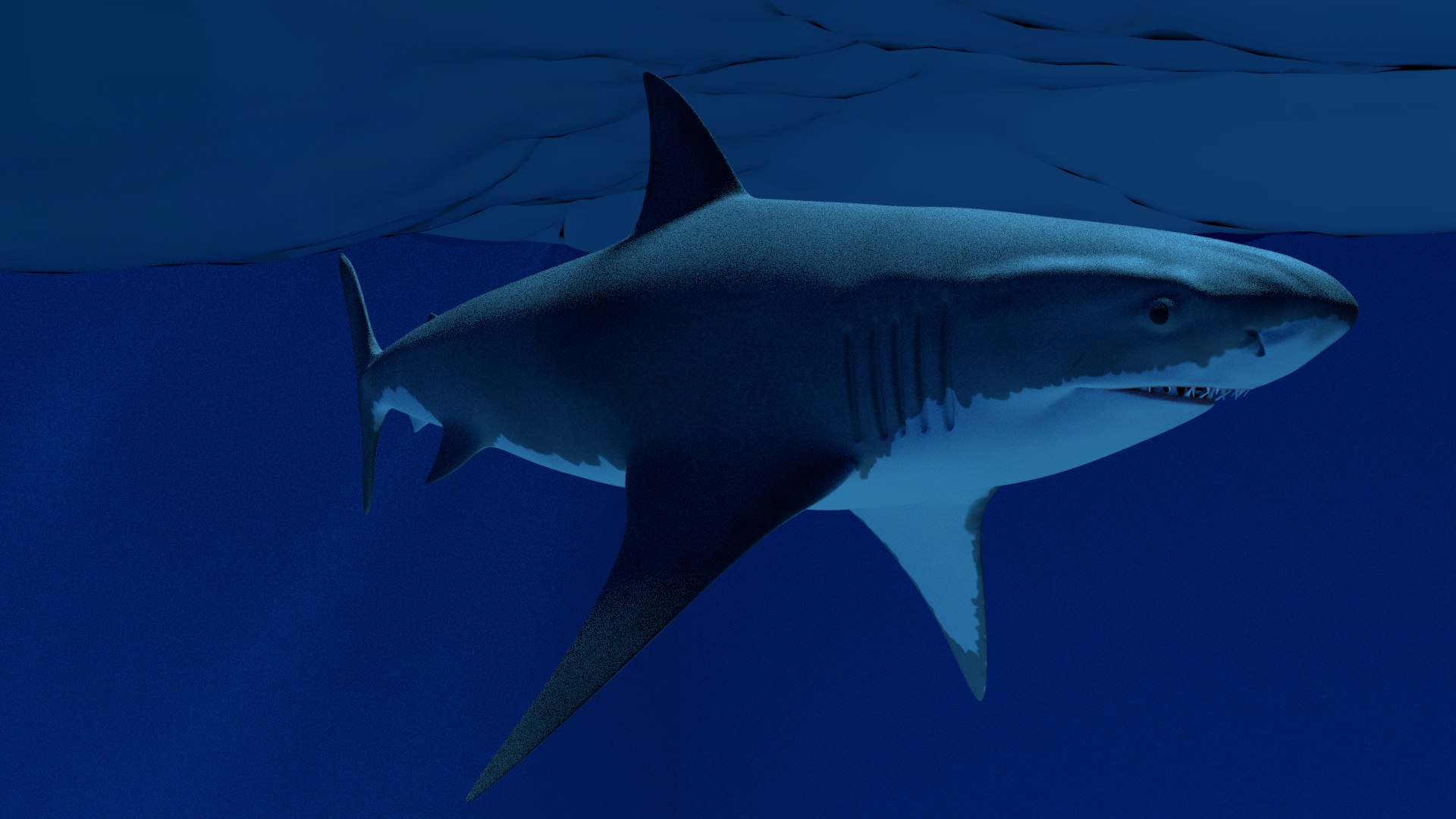 3D Shark Animations - TurboSquid 1422047