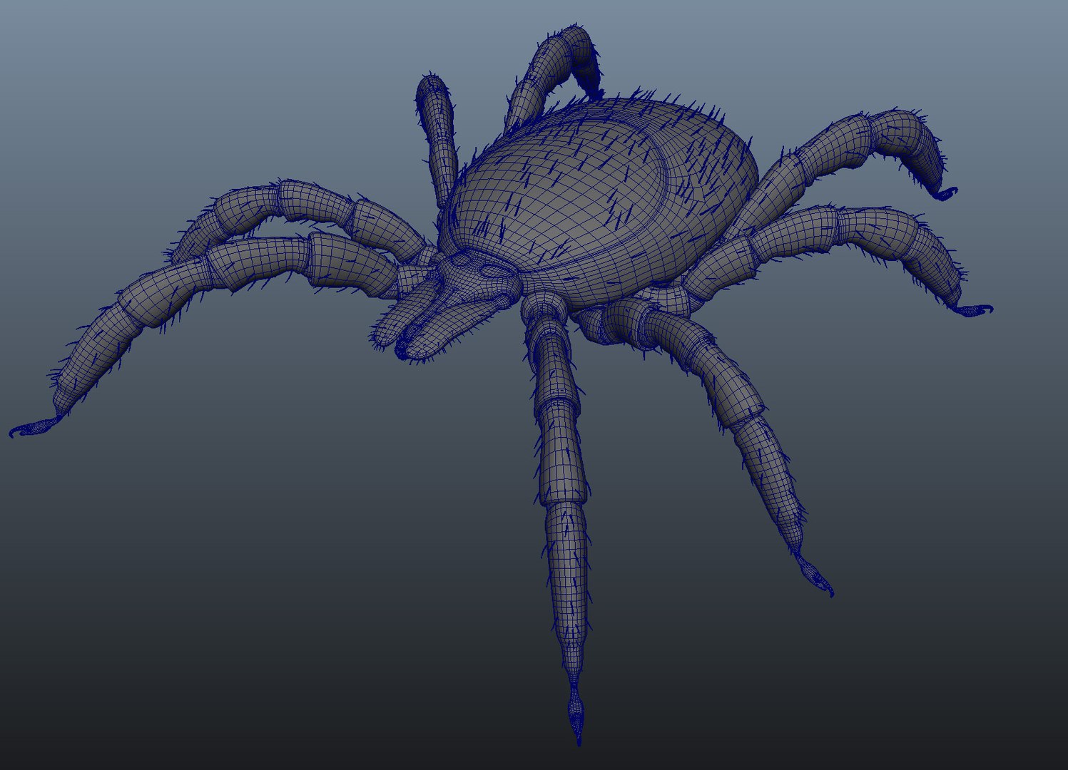 Obj Realistic Tick Modeled