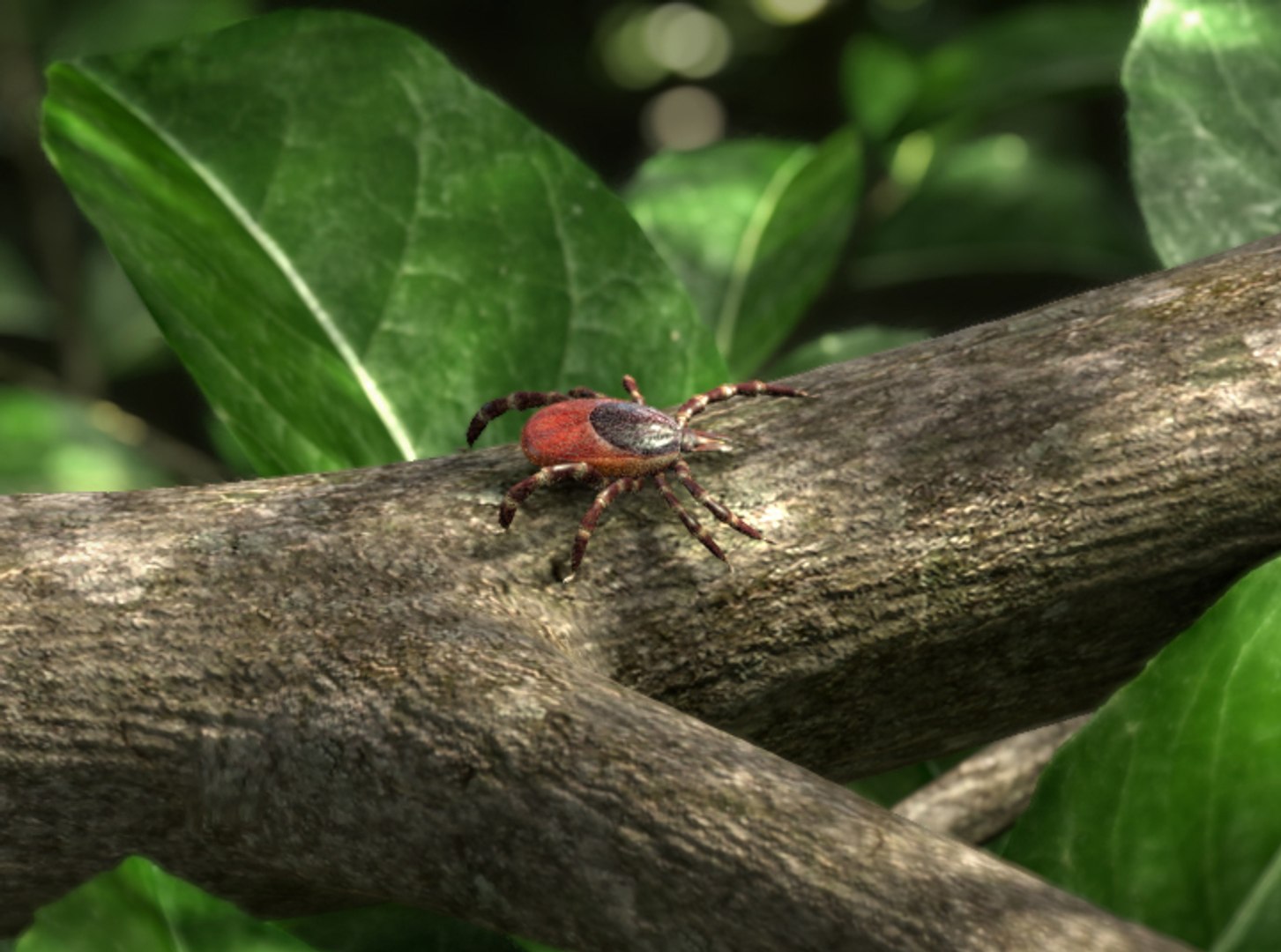 Obj Realistic Tick Modeled
