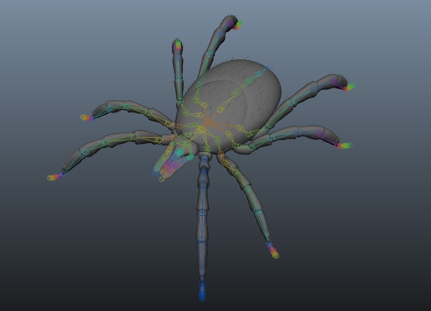 Obj Realistic Tick Modeled
