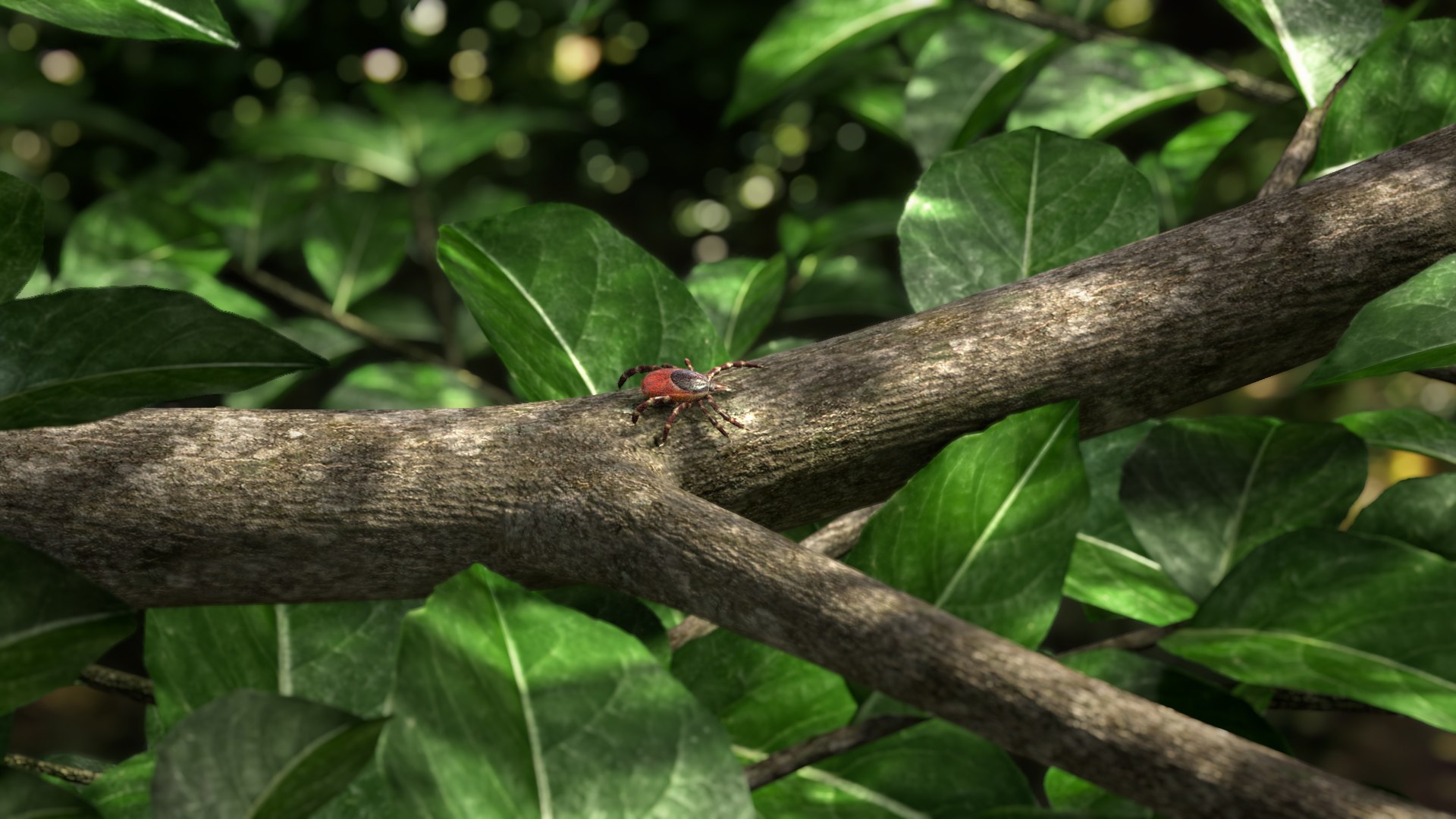 Obj Realistic Tick Modeled