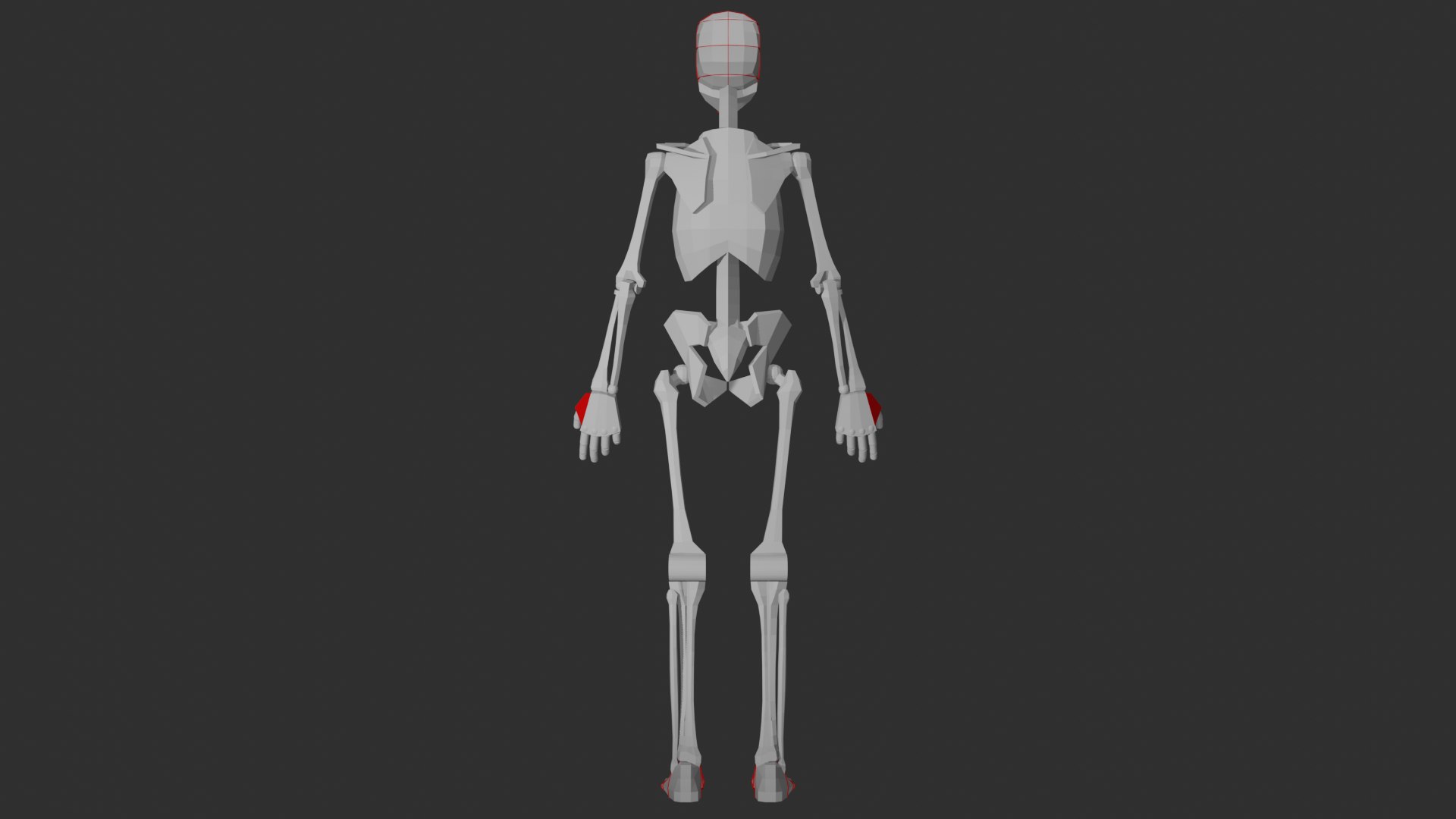 Female Skeleton For Artists 3D Model - TurboSquid 2092695