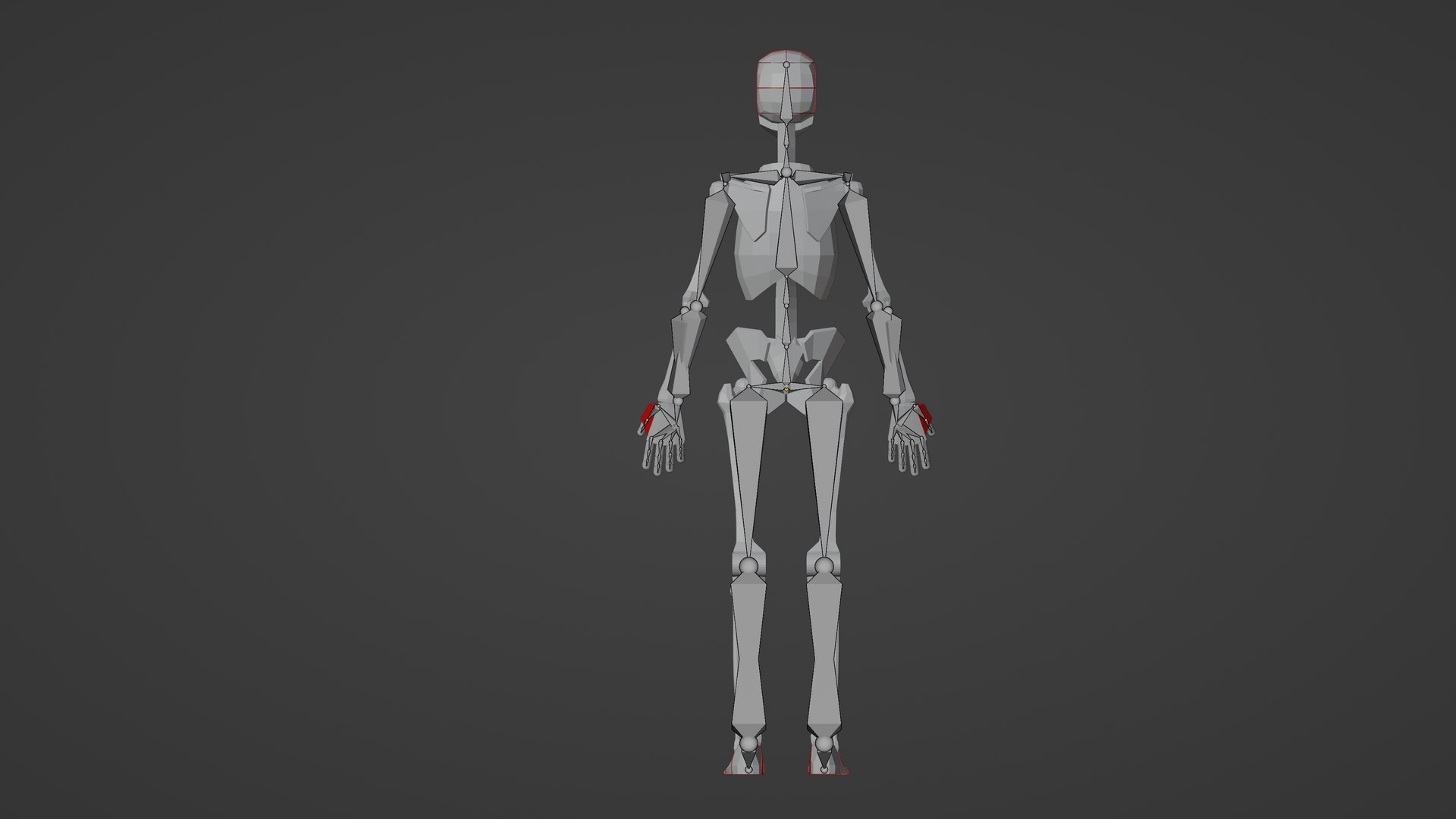 Female Skeleton For Artists 3D Model - TurboSquid 2092695