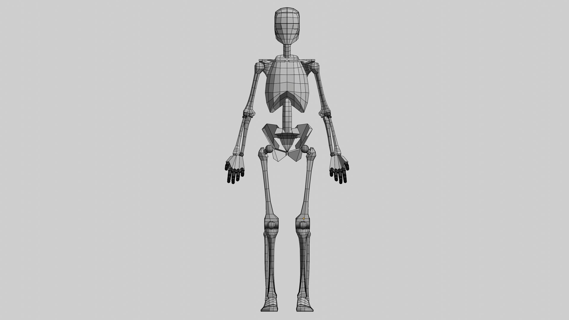 Female Skeleton For Artists 3D Model - TurboSquid 2092695