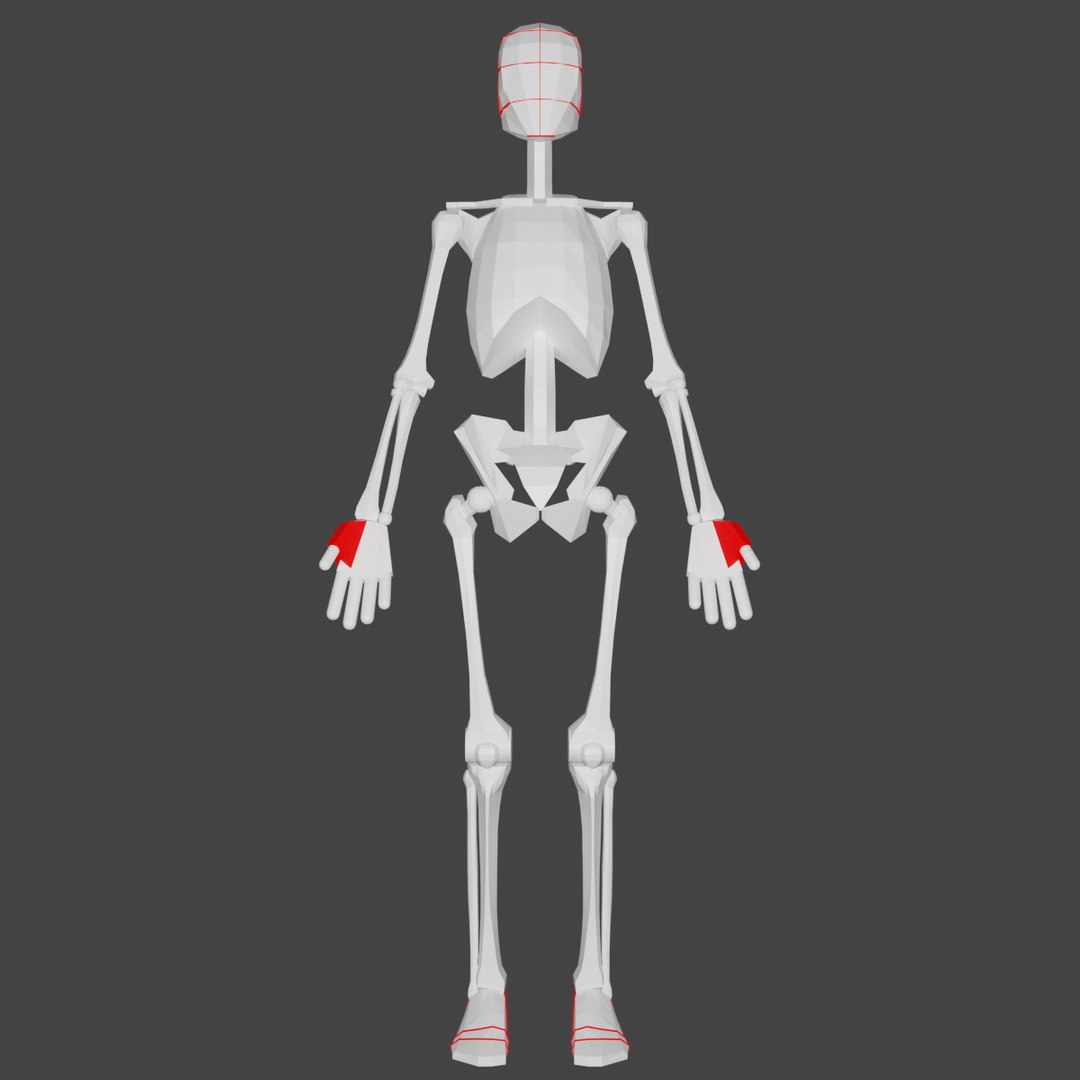 Female Skeleton For Artists 3D Model - TurboSquid 2092695