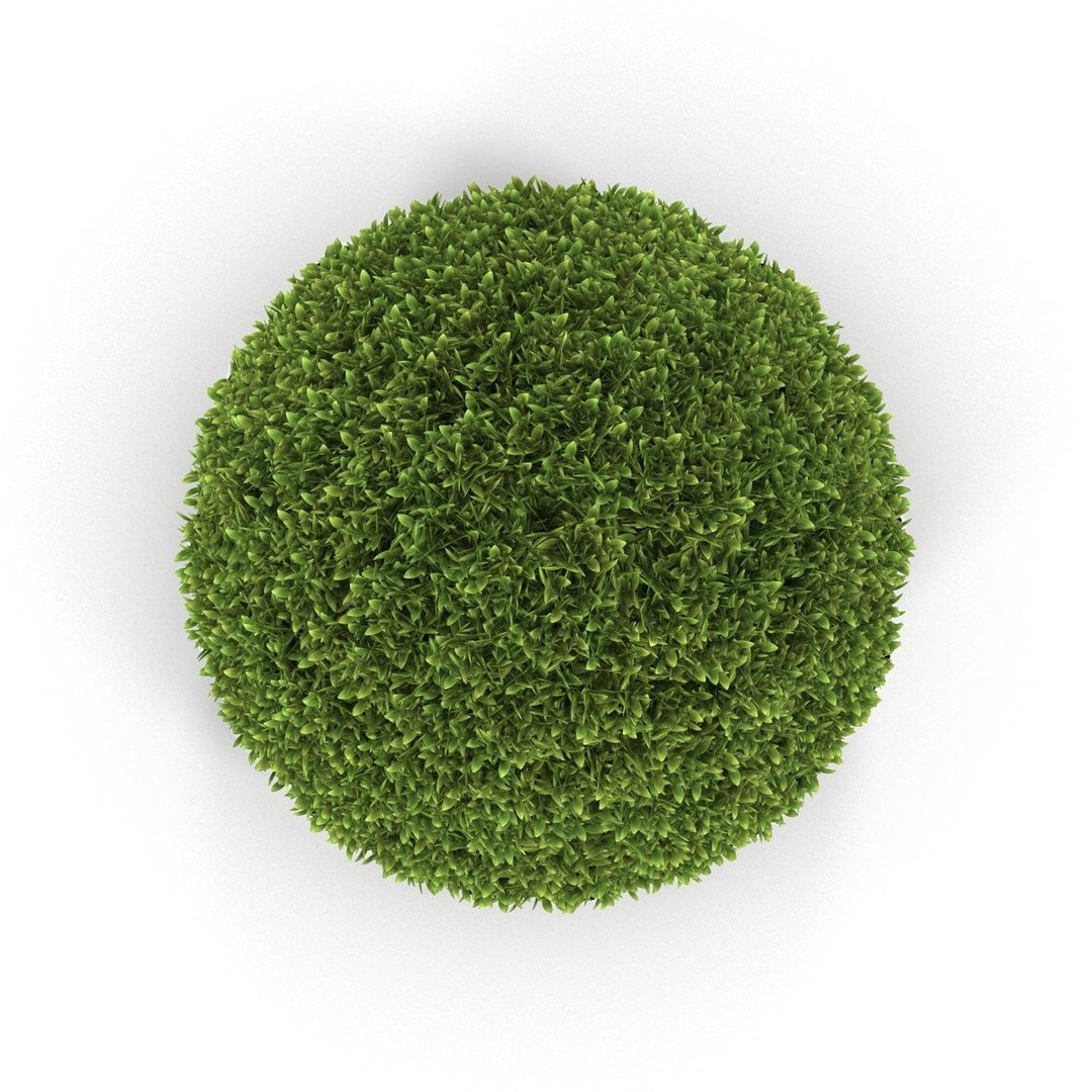 Hedge Sphere 3d Model
