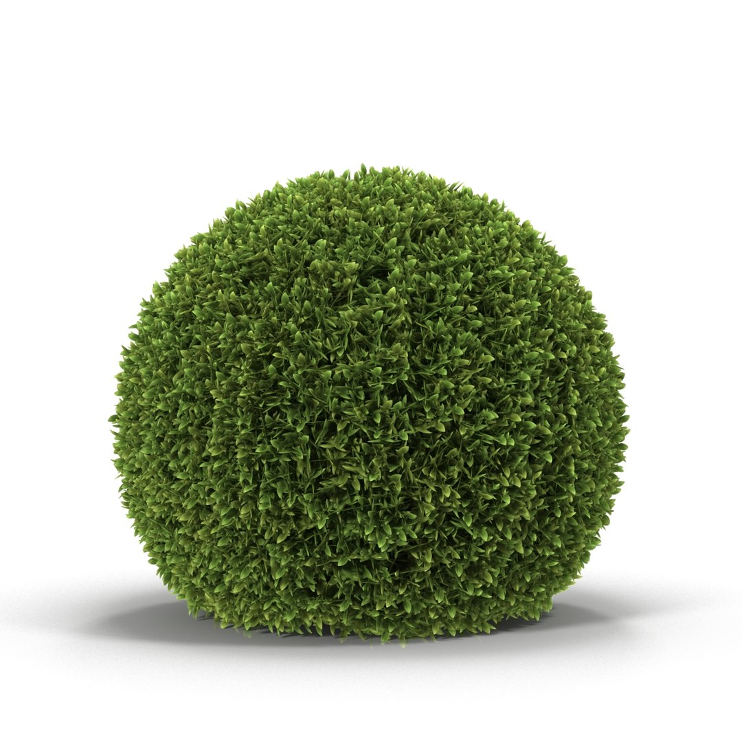 Hedge Sphere 3d Model