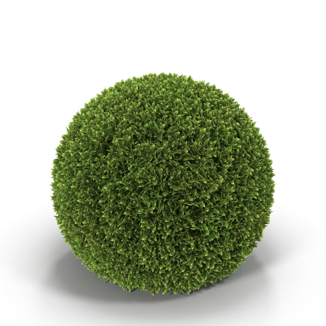 Hedge Sphere 3d Model