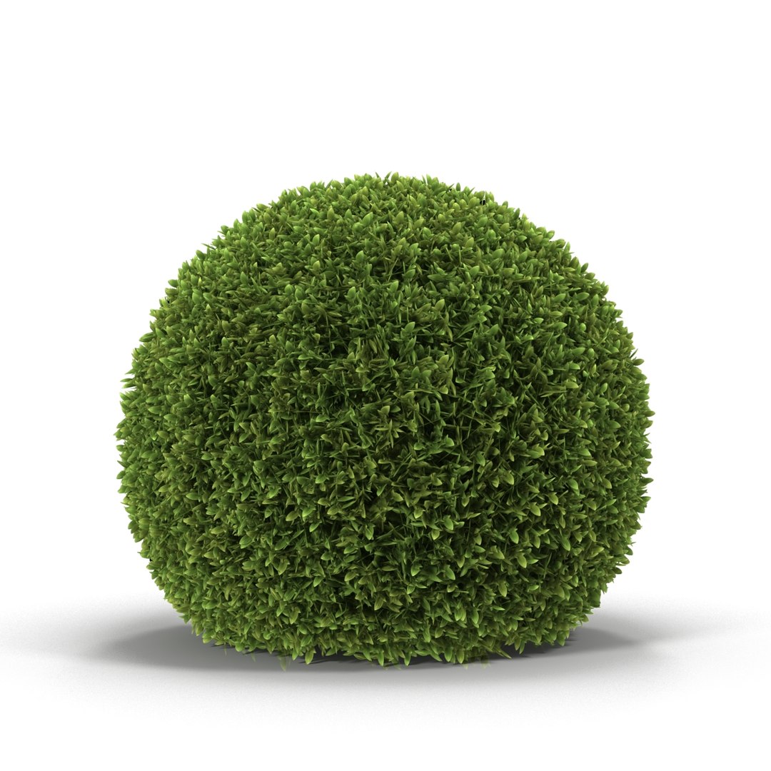 Hedge Sphere 3d Model