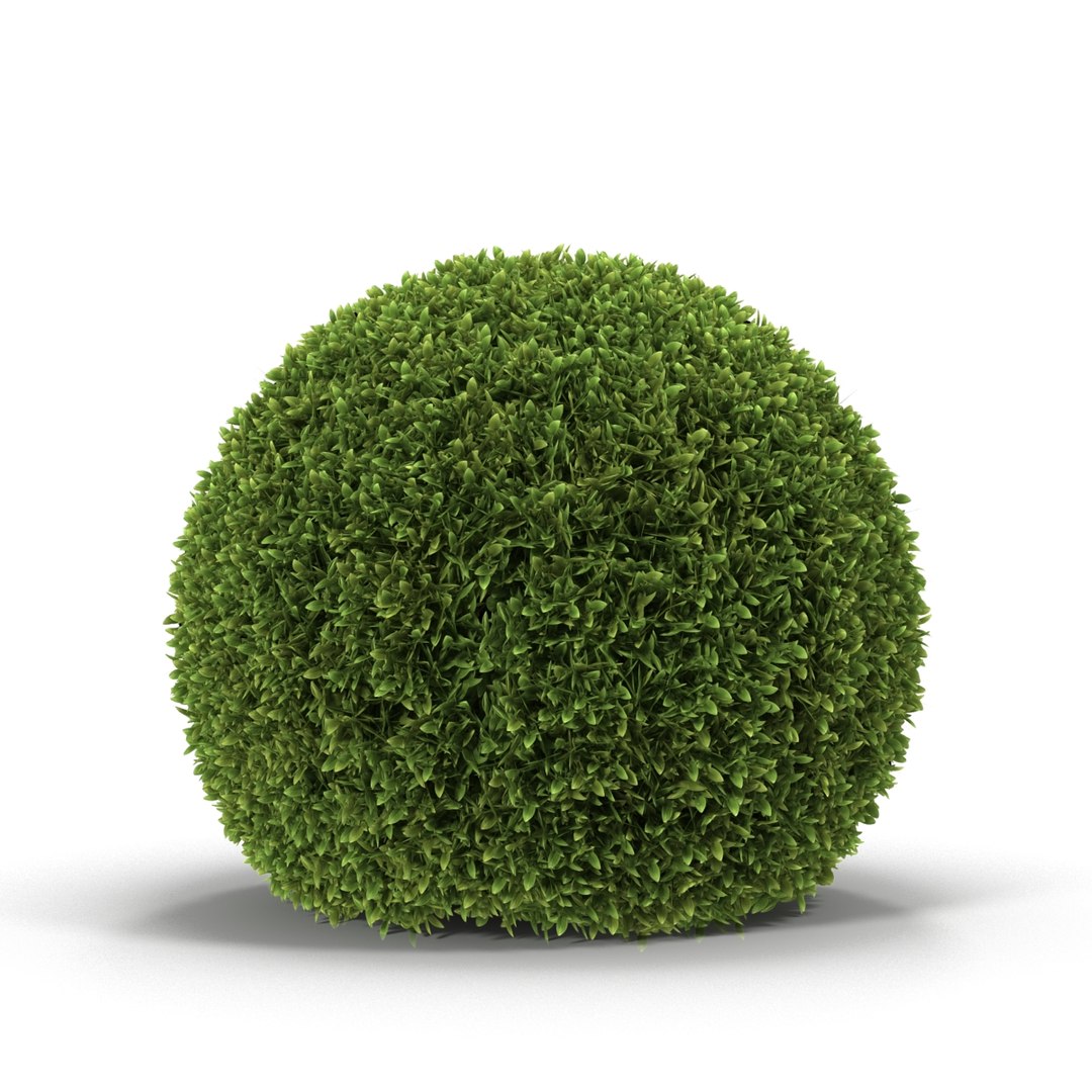 Hedge Sphere 3d Model