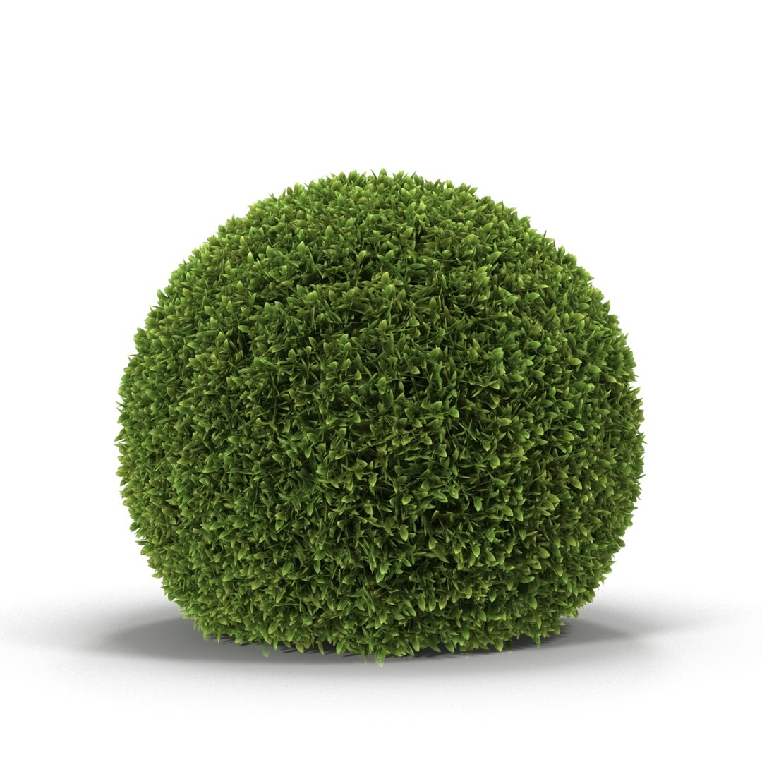 Hedge Sphere 3d Model
