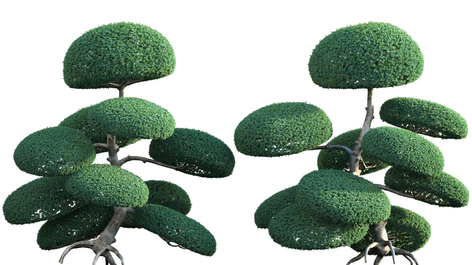 Bundle 24 - Japanese Garden model - TurboSquid 1955950