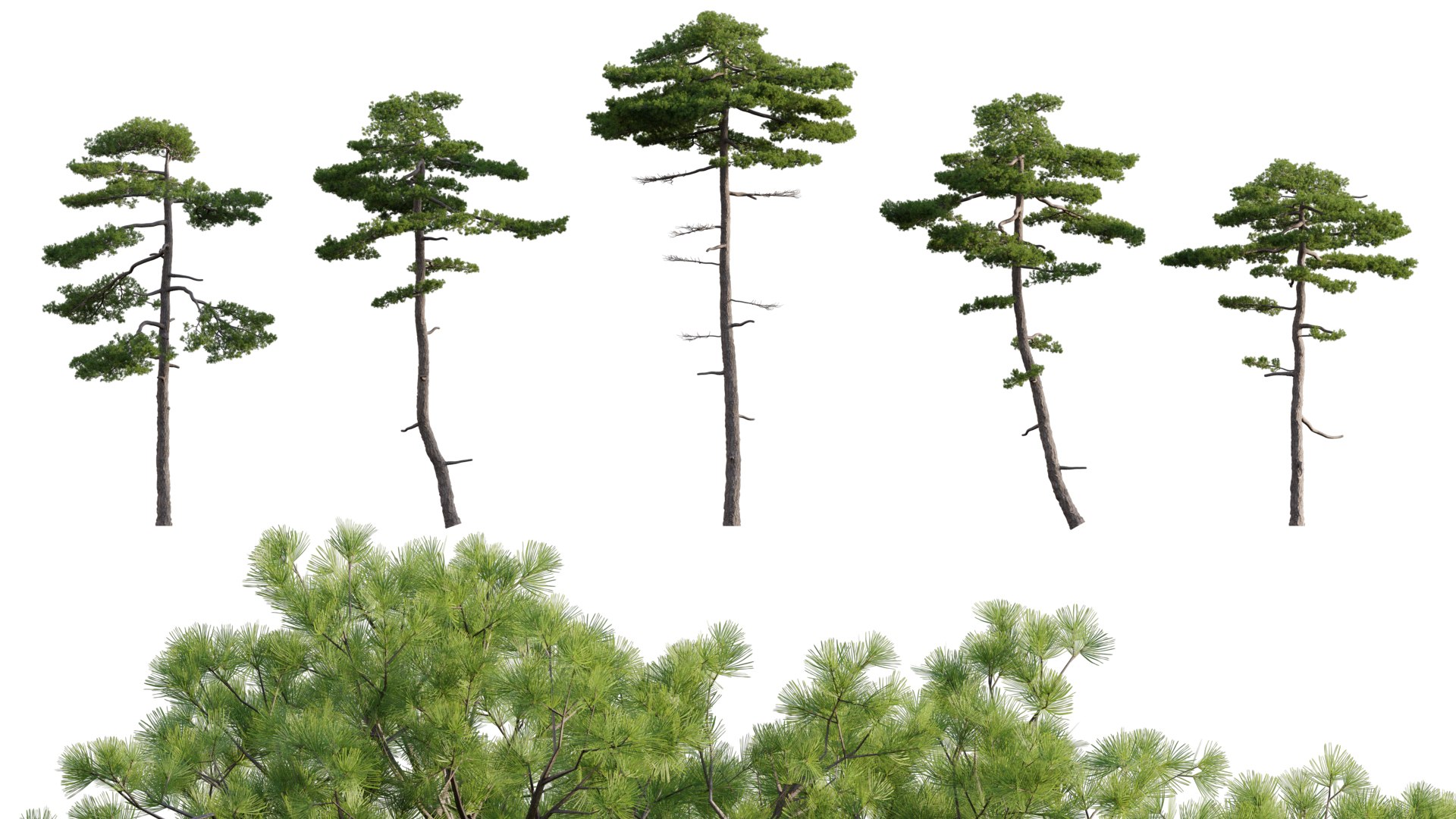 Bundle 24 - Japanese Garden Model - TurboSquid 1955950