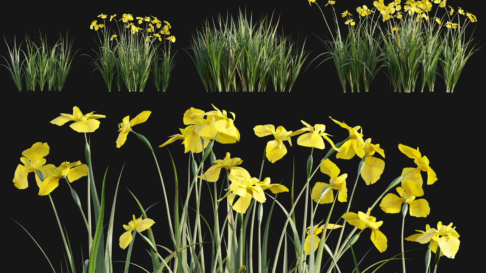 Bundle 24 - Japanese Garden Model - TurboSquid 1955950