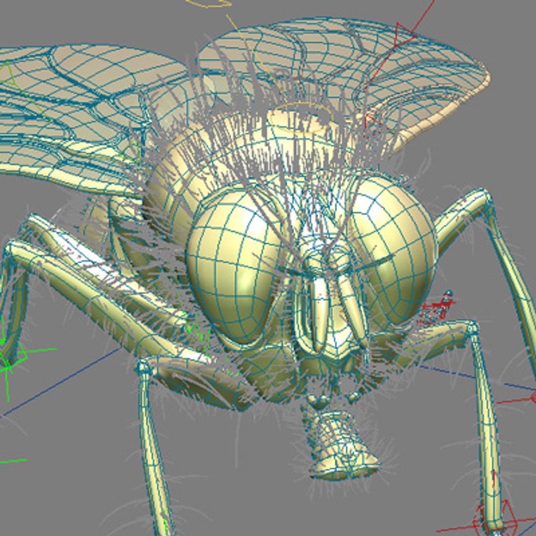 3d photorealistic housefly model