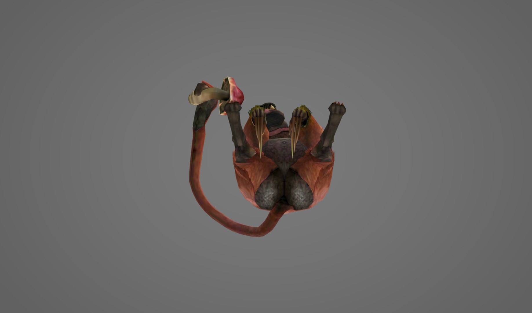 3D MONSTER HUNTER CONGALALA Model - TurboSquid 2227004