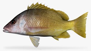 3d model popeye catalufa