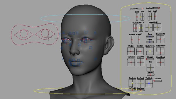 Female head rig 3D model - TurboSquid 1672395