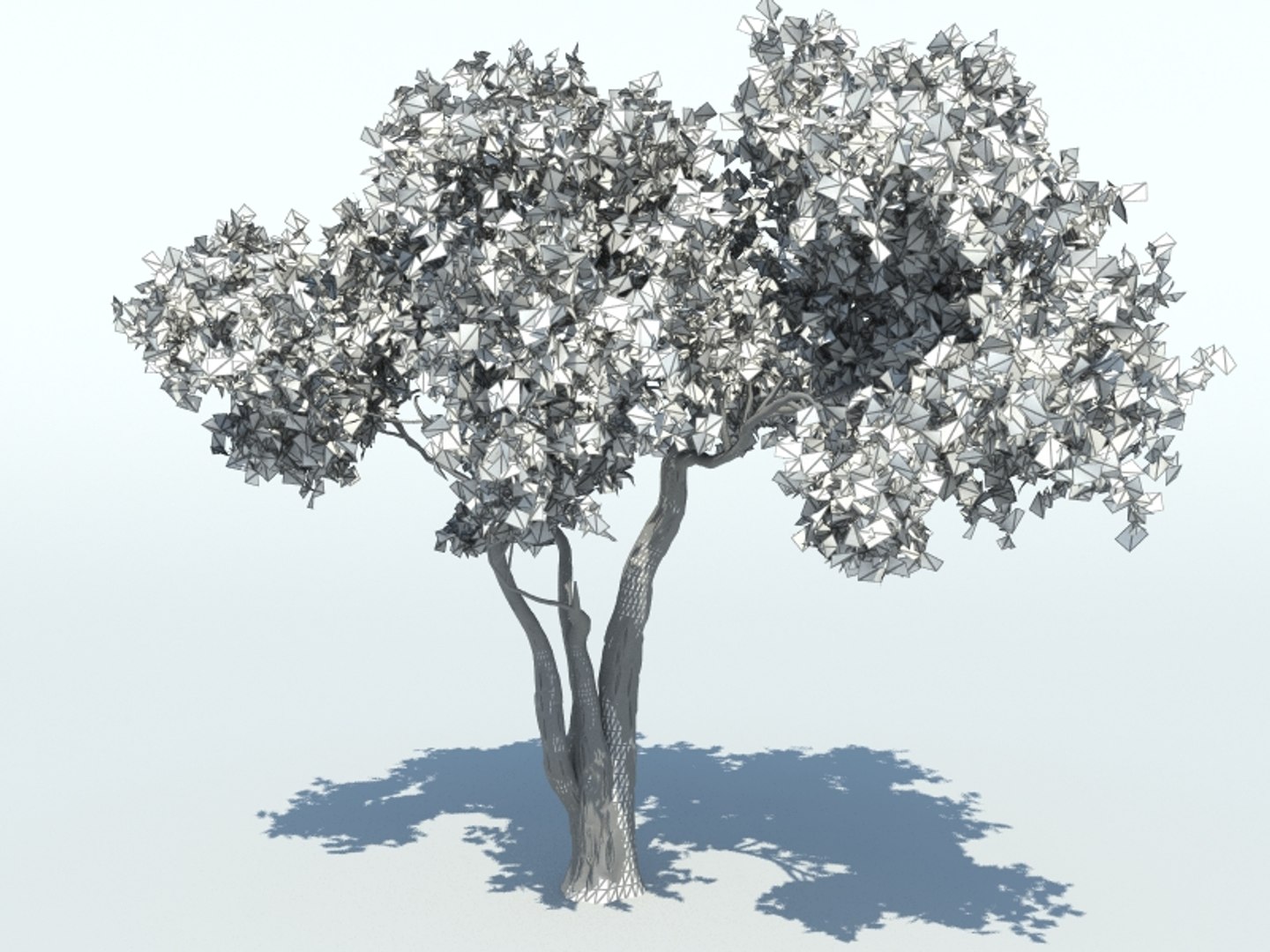 3D Olive Model - TurboSquid 1345720